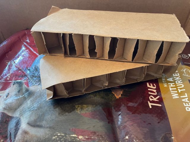 Review of Chewy DTC Packaging - Salazar Packaging